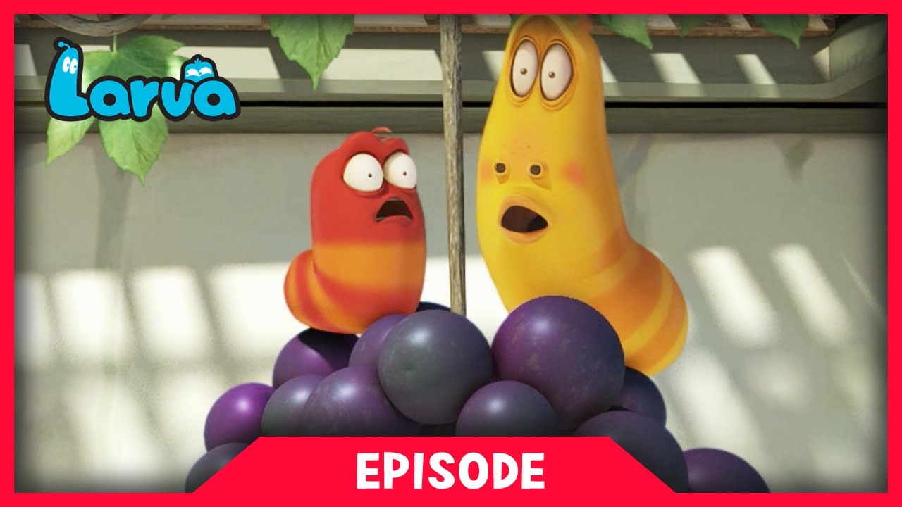 LARVA - GRAPE | Cartoon Movie | Cartoons | Comics | Larva Cartoon ...