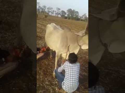 İnsanlardan sıkıldım