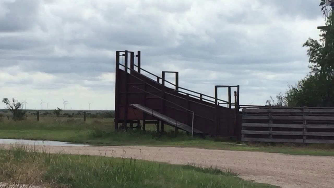 ECOREGIONS OF TEXAS - Limestone Plains - YouTube