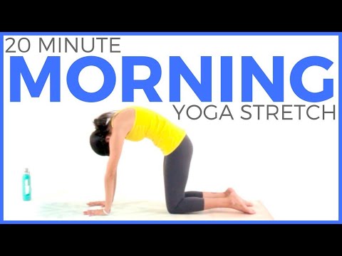 20 minute Morning Yoga Stretch | Sarah Beth Yoga