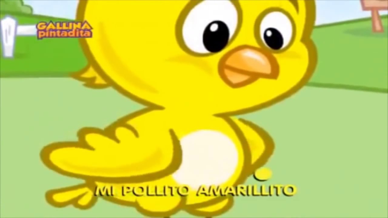 Pollito Amarillito - YouTube