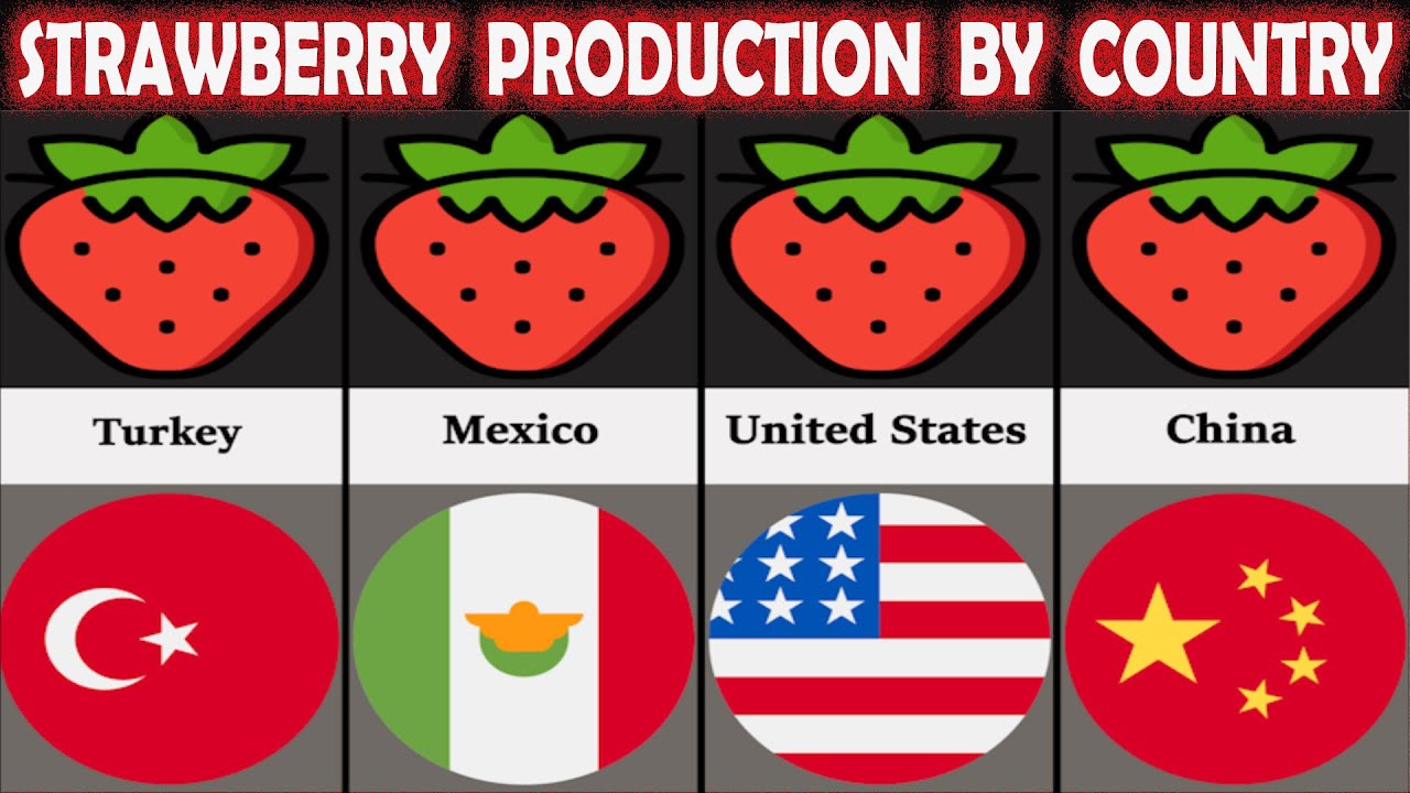 Country Comparison: Strawberry Production by Country - YouTube