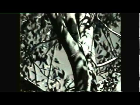EL VIAJE DEFINITIVO ~ POEM BY JUAN RAMON JIMENEZ ~ MUSIC AND VIDEO BY ...