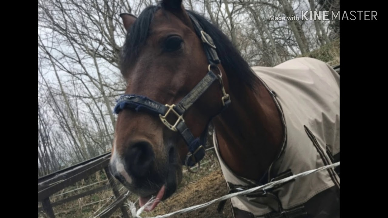 Ha det bra Malibu - YouTube