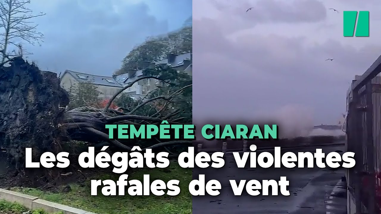 La tempête Ciaran a frappé le nord-ouest de la France - YouTube