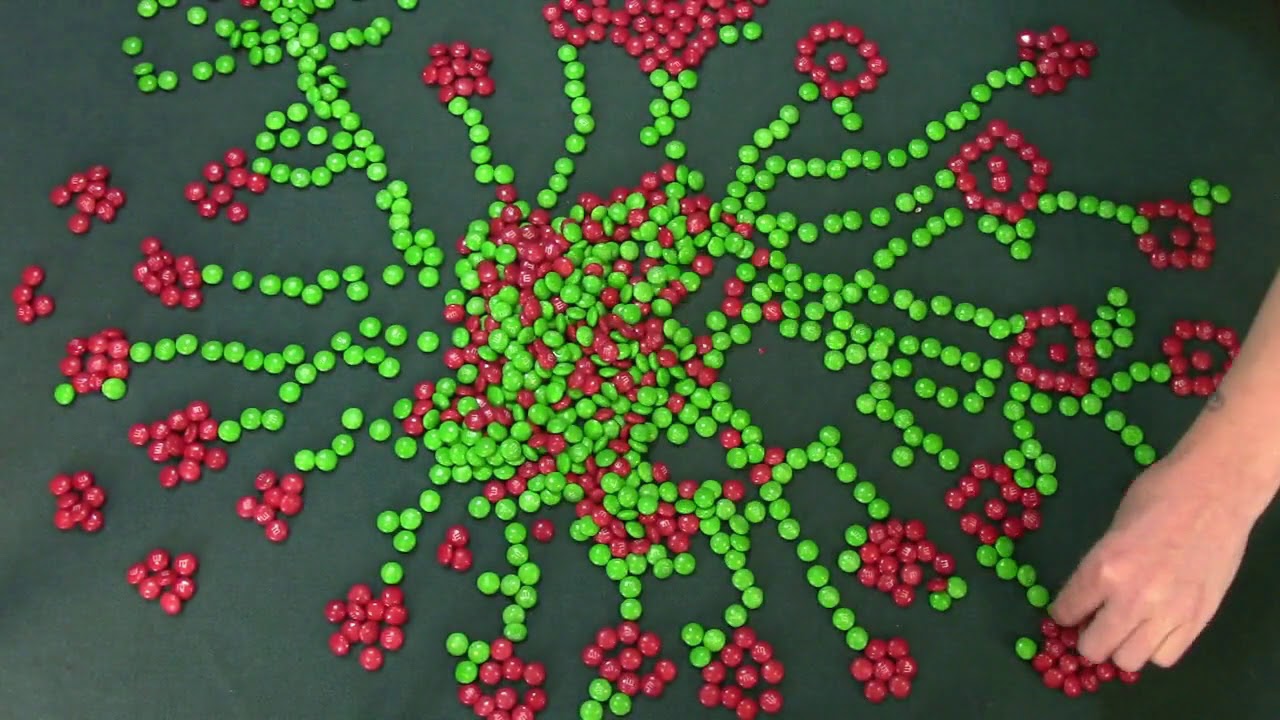 Two-tone Candy Sort - YouTube