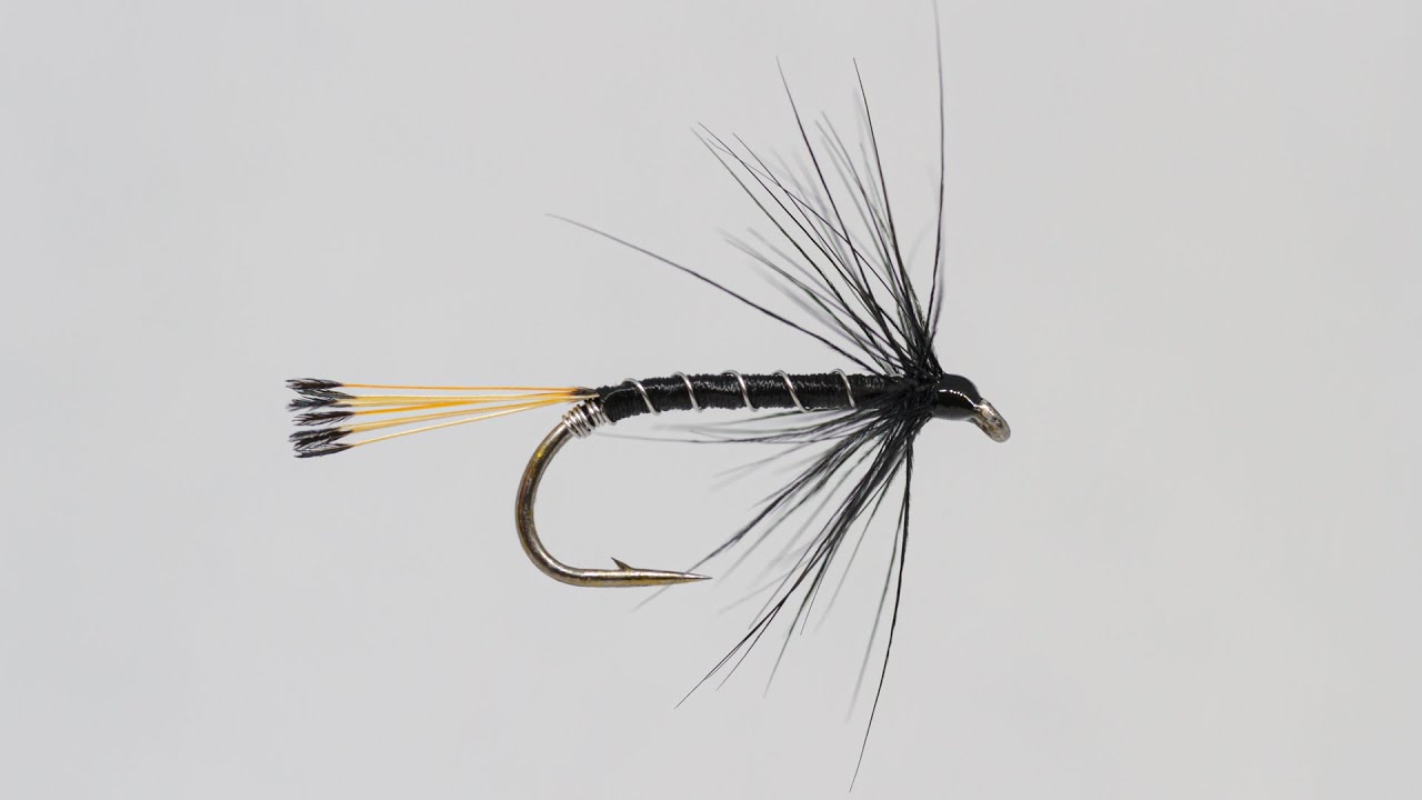 Fly Tying - Black Pennell - YouTube