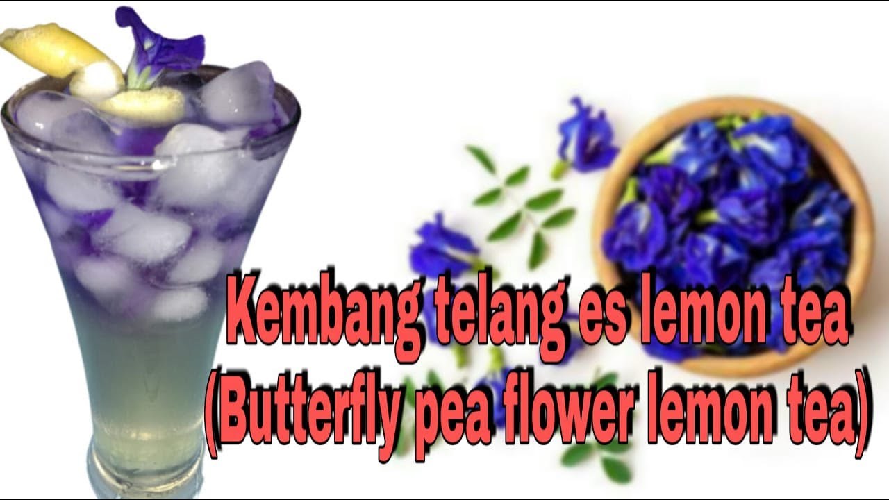 Cara membuat es lemon tea paling enak||butterfly pea flower lemon tea ...