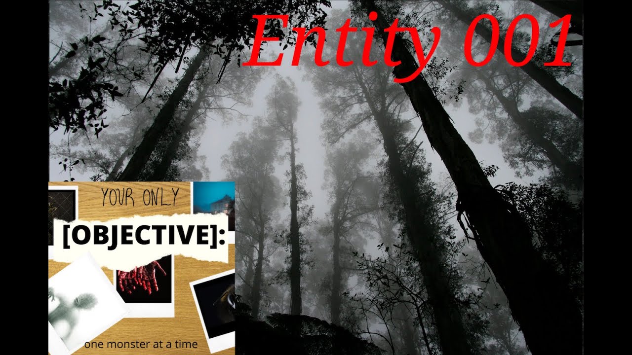 Your Only [Objective] - Entity 001 - YouTube