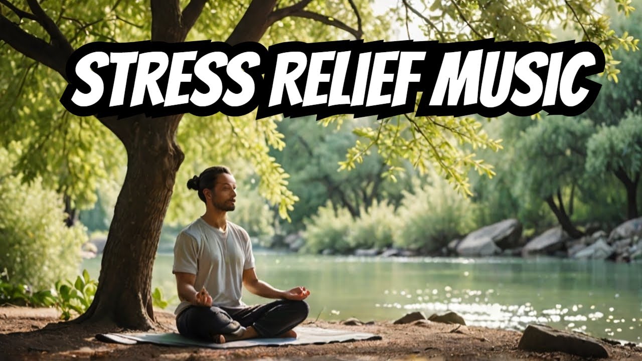 Stress Relief Music: Nature Soundscapes for Focus - YouTube