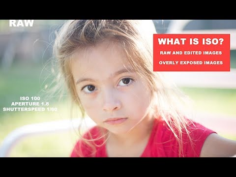 WHAT IS ISO? 101 photography tips with comparing images | NYC ...