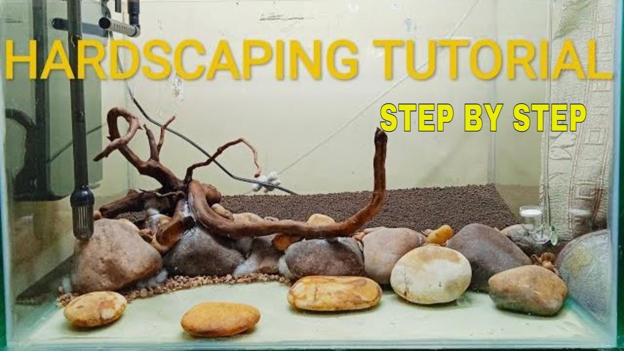 Aquascape ll River bottom Aquascape 2020 ll River stone planted ...