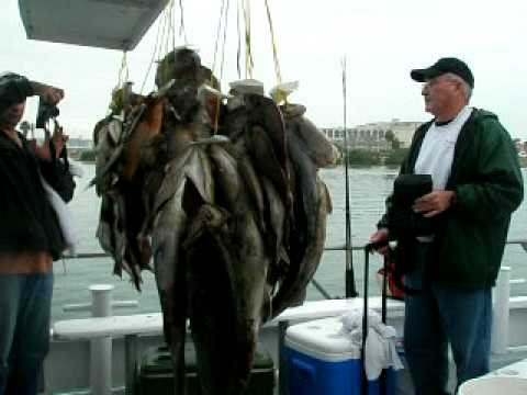 Deep Sea Fishing with myself hahahaha on Queen Fleet ** Clearwater ...