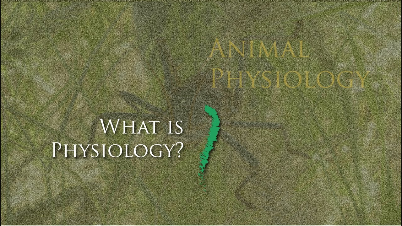Lecture 1 Intro. What is physiology? - YouTube