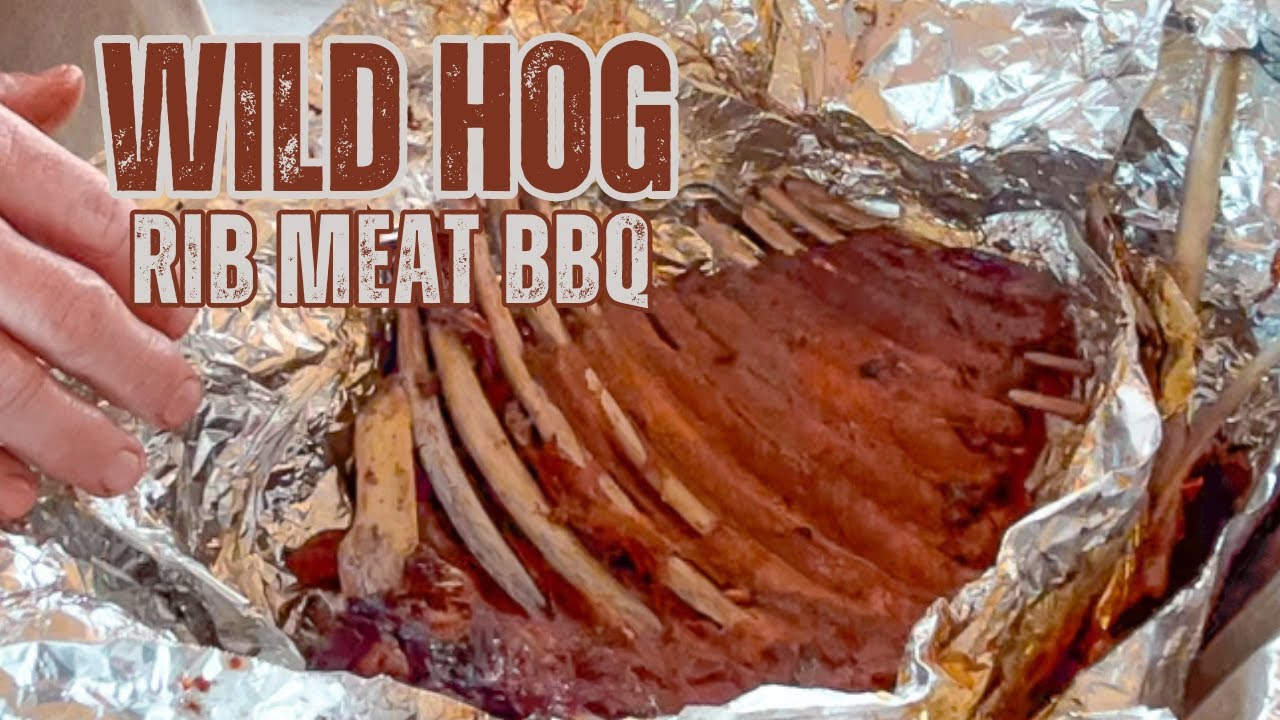 WILD HOG RIBS | BBQ Pork Sandwich + Homemade Coleslaw - YouTube