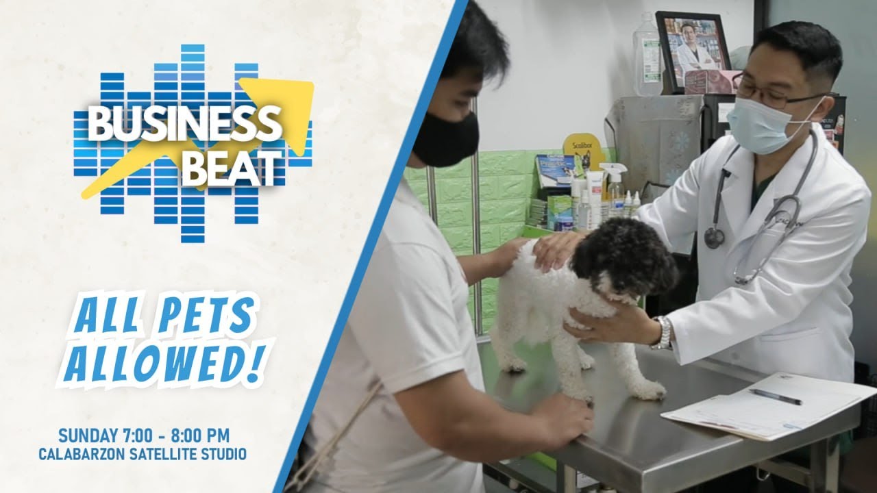 Business Beat | November 10, 2024 - YouTube