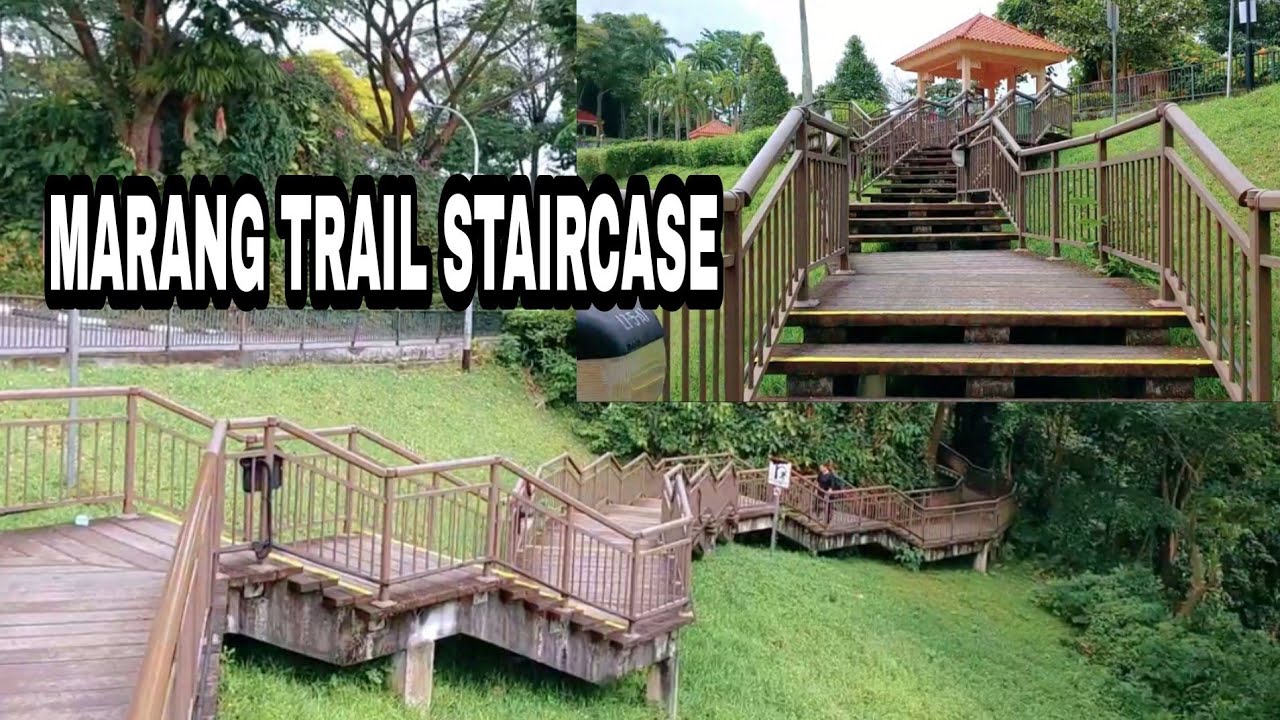 MARANG TRAIL | CLIMBING UP THE STAIRS | ADIK SAYO - YouTube