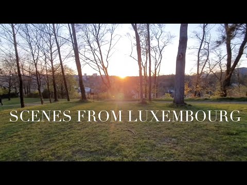 Scenes From Luxembourg (complete)
