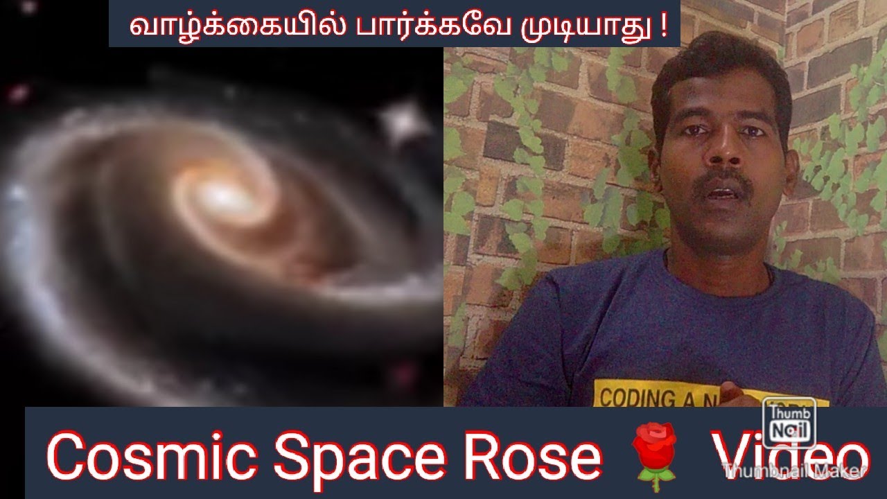 You Know Cosmic Space Rose 🌹 Video | NASA Released Space Rose Video ...