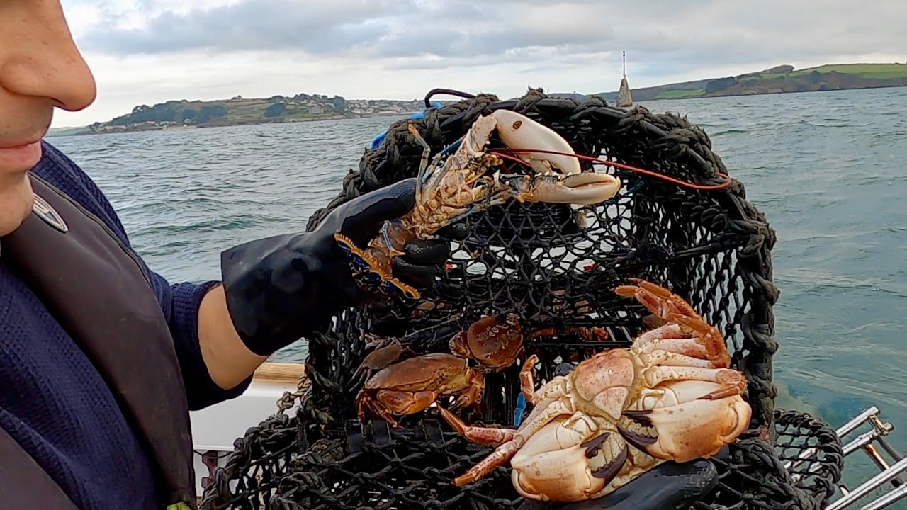 Bonus Haul of the FishLocker Lobster Pots - One final Lobster pot video ...