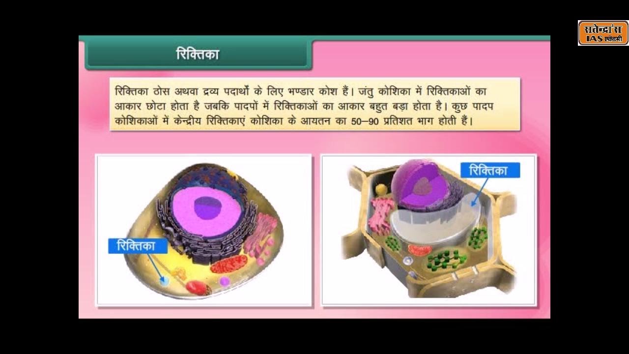 CELL STRUCTURE AND FUNCTION NCERT/CBSE FOR UPSC SATENDRA'S IAS ACADEMY ...