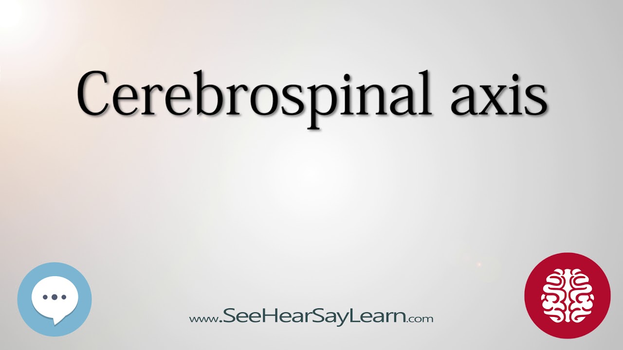 Cerebrospinal axis Anatomy of the Brain SeeHearSayLearn 🔊 - YouTube