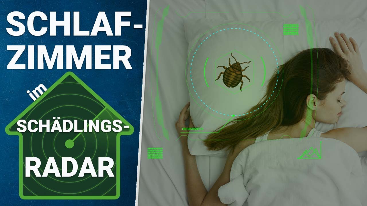 Insekten im Bett und im Schlafzimmer loswerden - 5 Tipps 🪲# ...