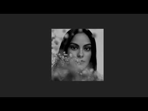 Demi Lovato - Heart By Heart (slowed)