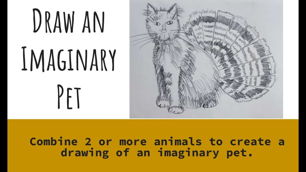 Drawing an Imaginary Pet - YouTube