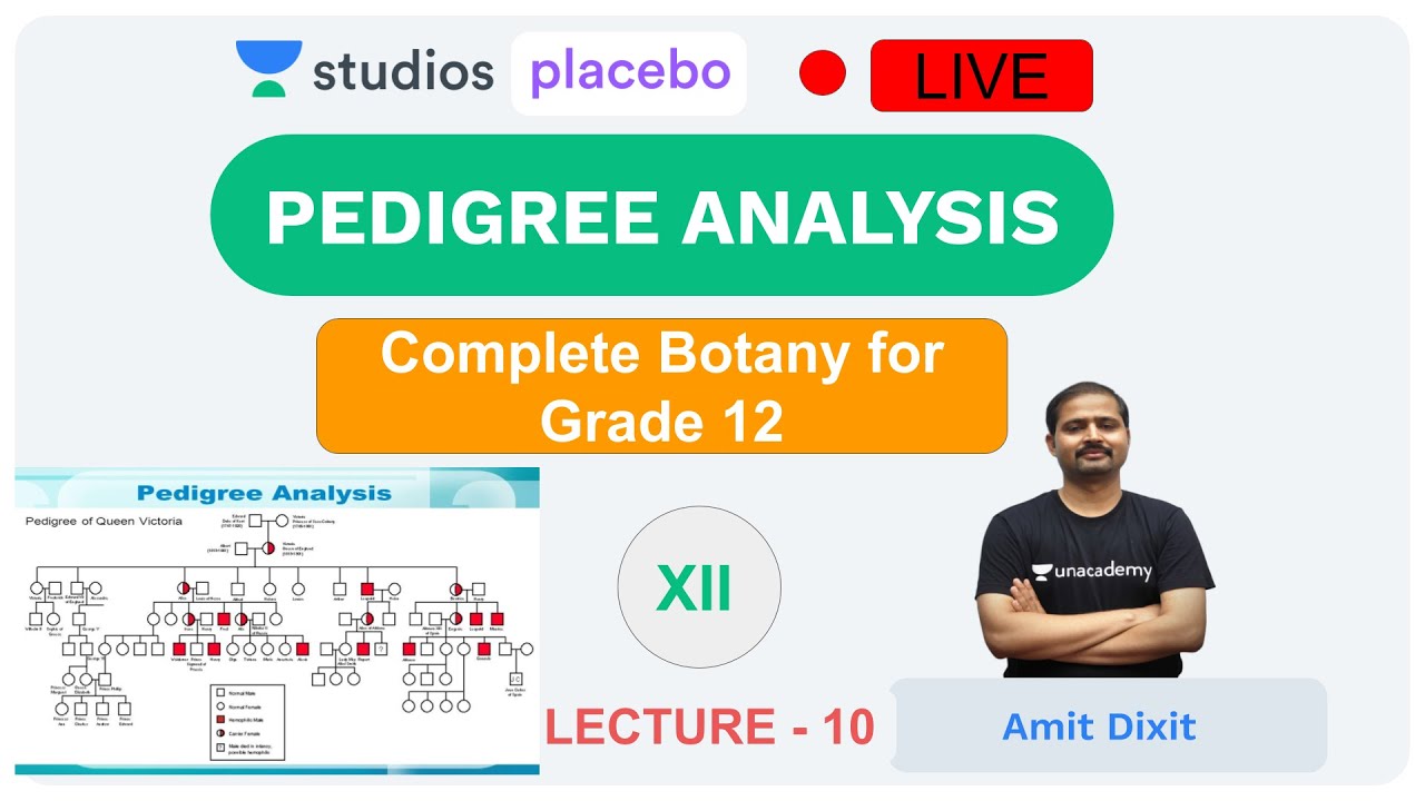 L10: Pedigree Analysis | Complete Botany Grade 12 (Pre-medical-NEET ...