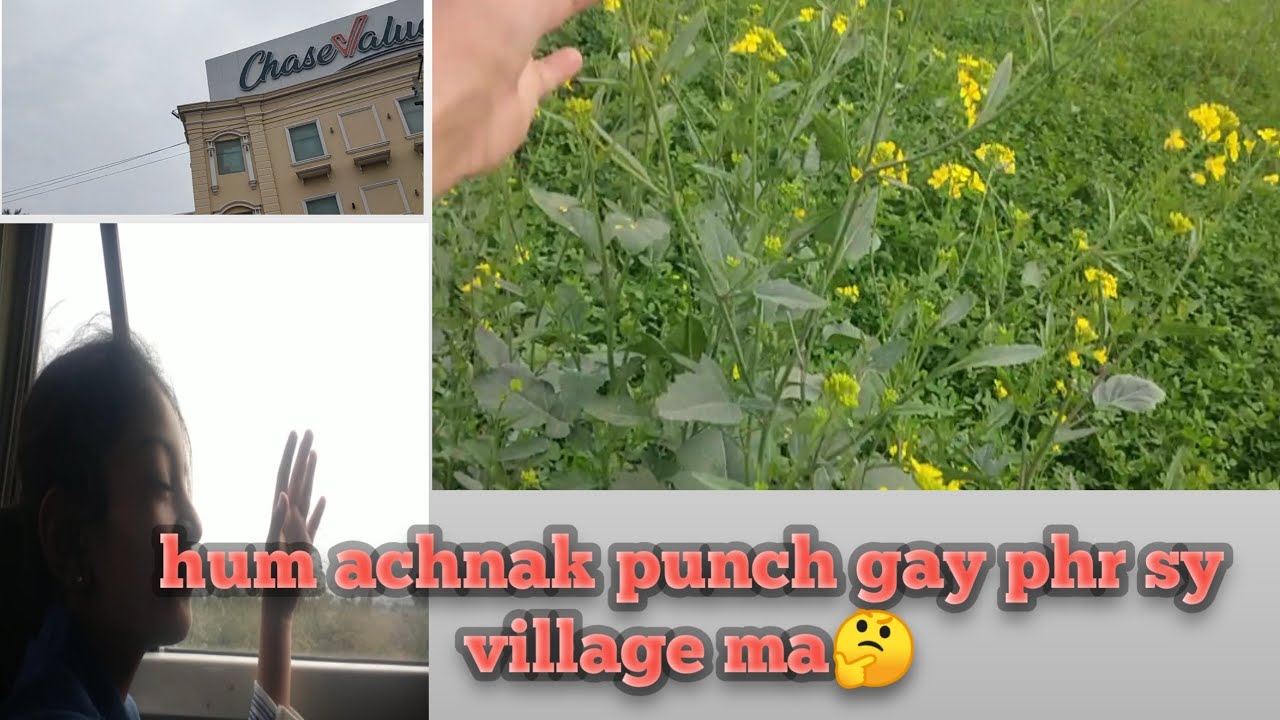 Hum achnak punch gay village main 🤔@umisa daliy velog) - YouTube