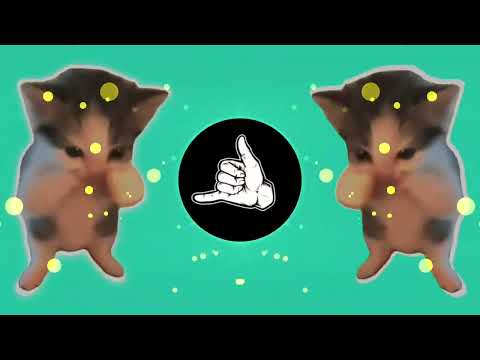 DJ KICAU KICAU KICAU MANIA SLOW VIRAL TIKTOK FULL SONG MAMAN FVNDY 2026 