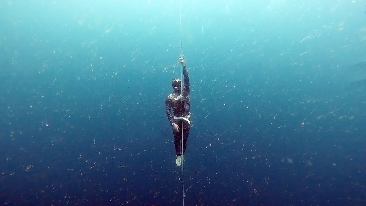 Freediving competition (Depth event) Free Immersion discipline. - YouTube