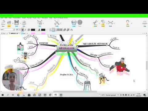 İNORGANİK BESİNLER-Mineraller