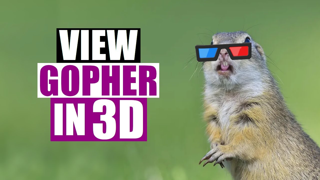 View Gopherspace In 3D With GopherVR - YouTube