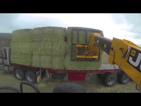 JCB 541 70 Loading Lucerne Hay - YouTube