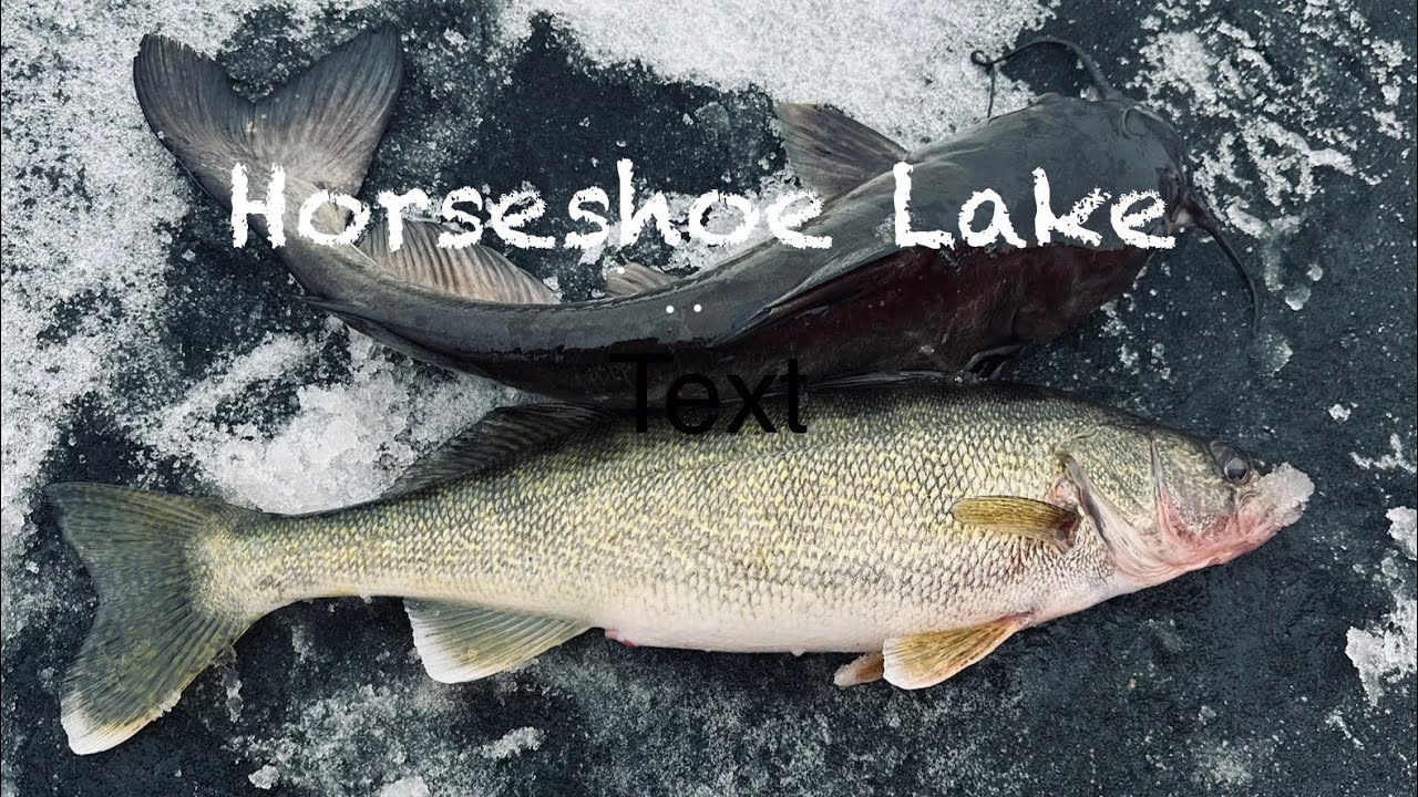 Horseshoe Lake - Catfish & Walleyes Through The Ice!!! - YouTube