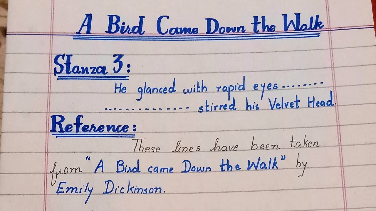 Poem "A Bird Came down the walk " stanza 3 explanation with reference ...