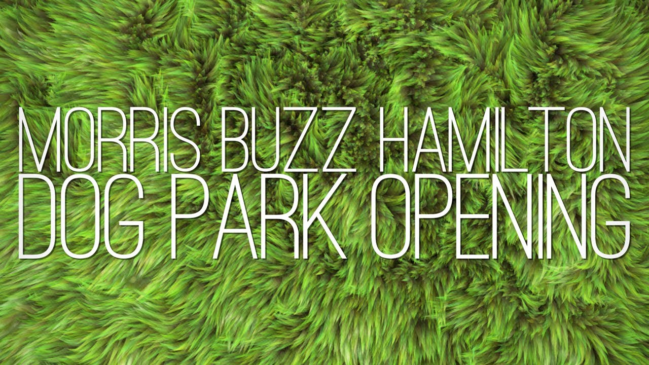 Morris Buzz Hamilton Dog Park Opening - YouTube