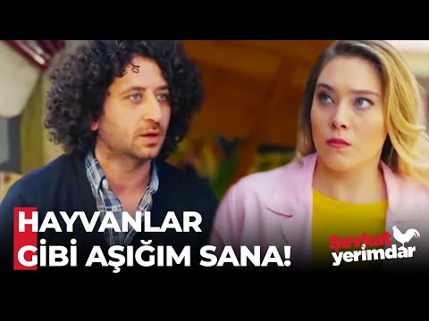 Aşkın Ateşi Yakarmış Üzeyir'i - Şevkat Yerimdar