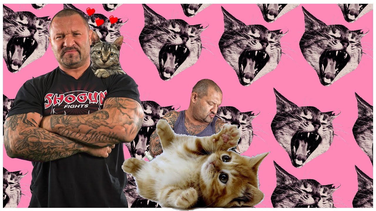 John Rallo The Crazy Cat Person - YouTube