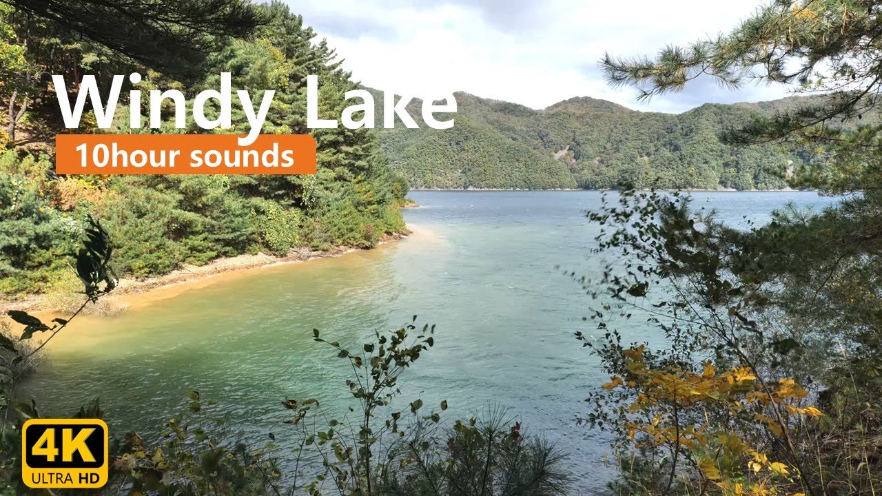 [Noise] of rough Winds at the lake, Birds and Bugs are singing - YouTube