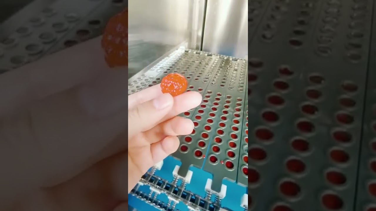 gummies machine how to make THC CBD VITAMIN gummy bear jelly soft candy ...