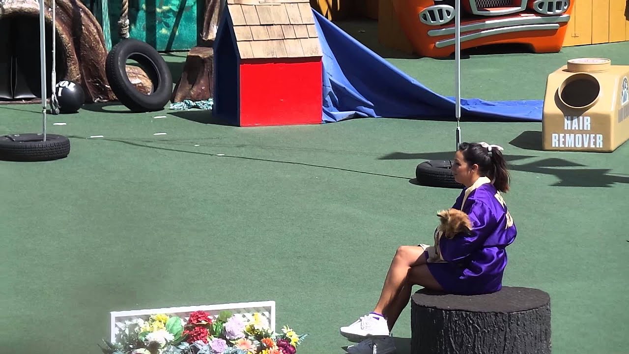 Pet's Rule Show @ San Diego Seaworld 2015 - YouTube