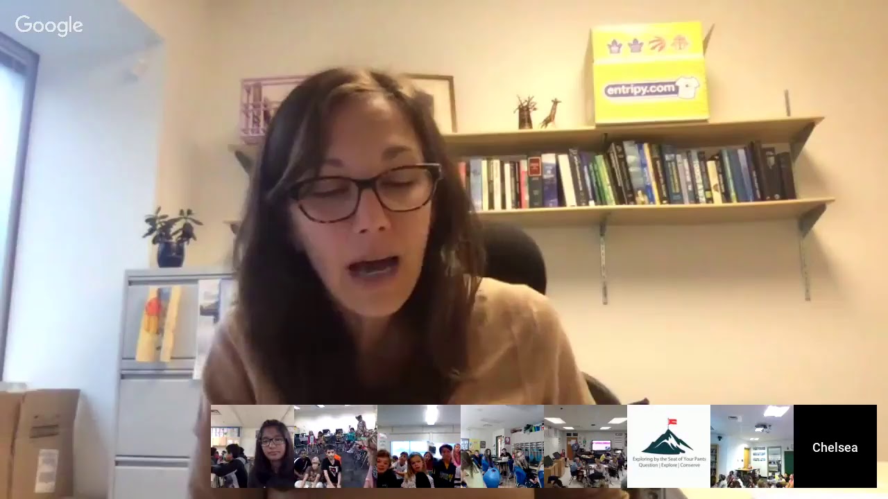 Chelsea Rochman | Ocean Plastics - YouTube