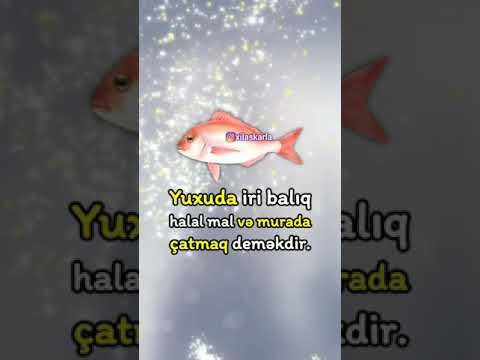 Yuxuda İri Balıq Görmək