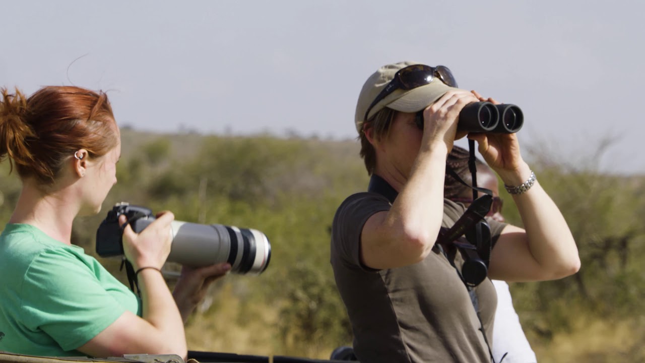 Running Wild for Nature Conservation - Wildbook | Season 1 Episode 6 ...