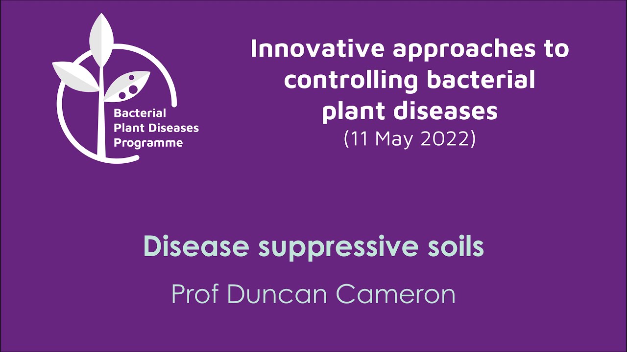 Disease suppressive soils | Duncan Cameron (University of Sheffield ...