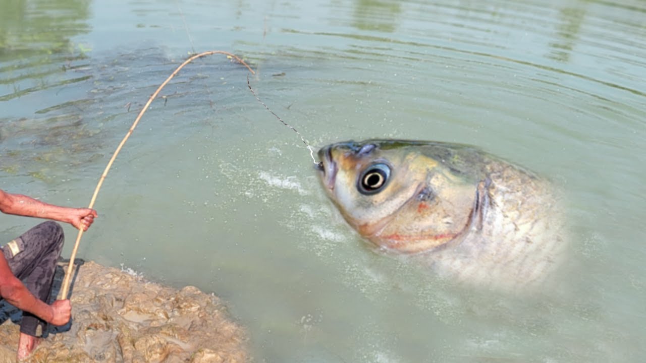Amazing Big Fish Hook Fishing in River #fishing - YouTube