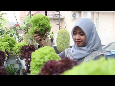 THE OHIO PROGRAM 2018 - RISYA NAZNAINI, INDONESIA